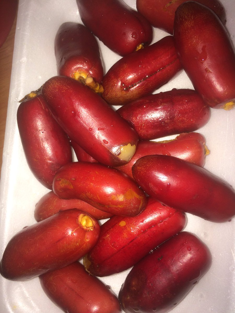 GENERAL “Balaha” AND THE TRAGIC DEATH OF SHADY HABASH! – AhMedia احا صحافه